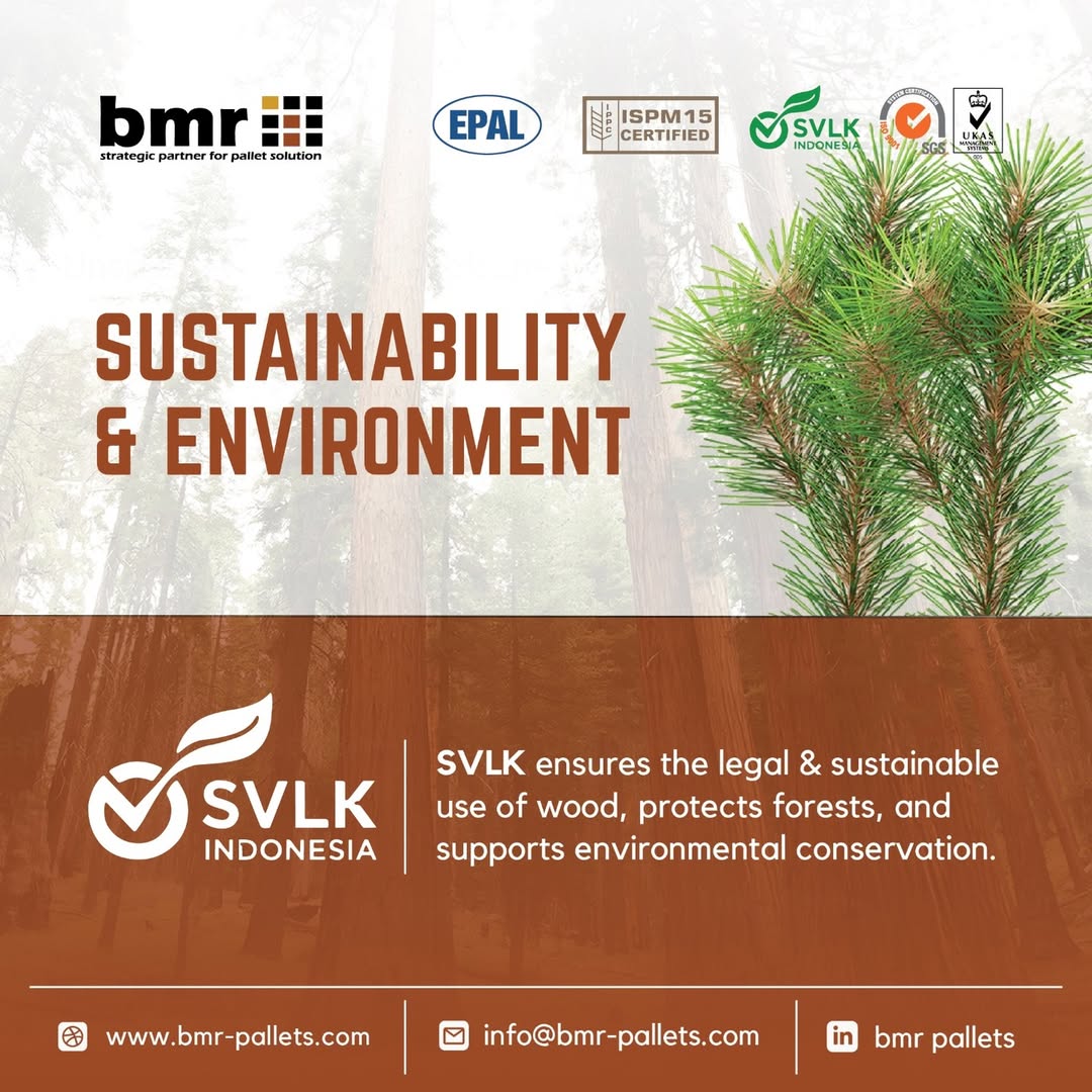 Eco Pallet Wood: Smart Choice for Sustainable Logistics